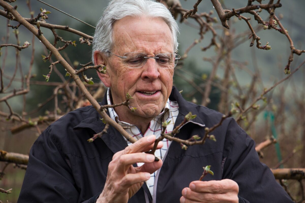 Cosmic Crisp, più che una mela, un'ispirazione - FoodEvolvation