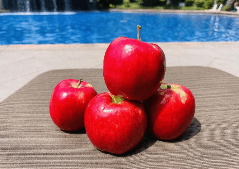 Samboa: la nuova mela dolce, croccante e maturata in pianta ...